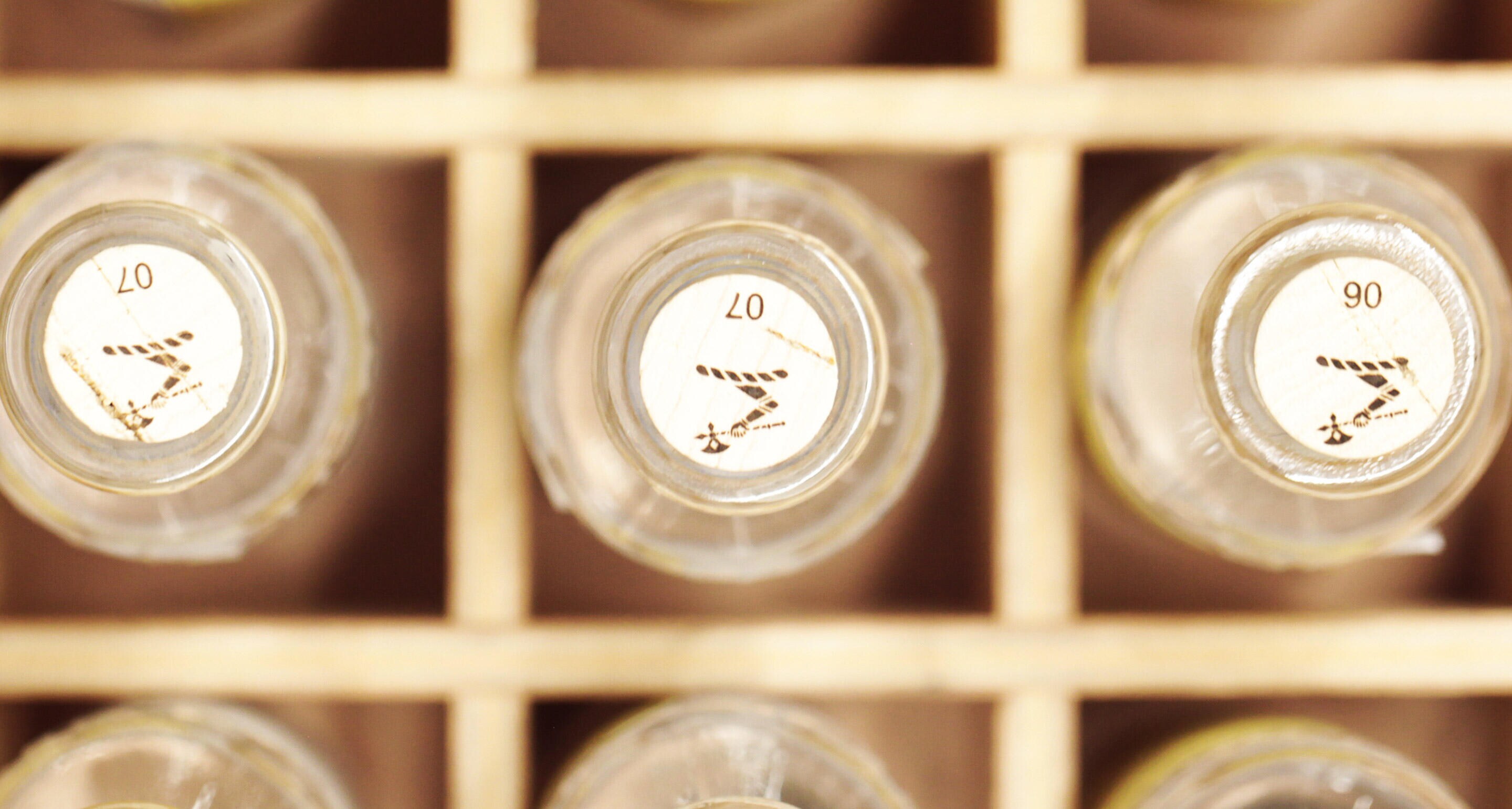 Hennessy Pure White - Hennessy