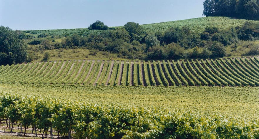 Hennessy V.S.O.P : ONE PASSIONATE ACHIEVEMENT | Hennessy