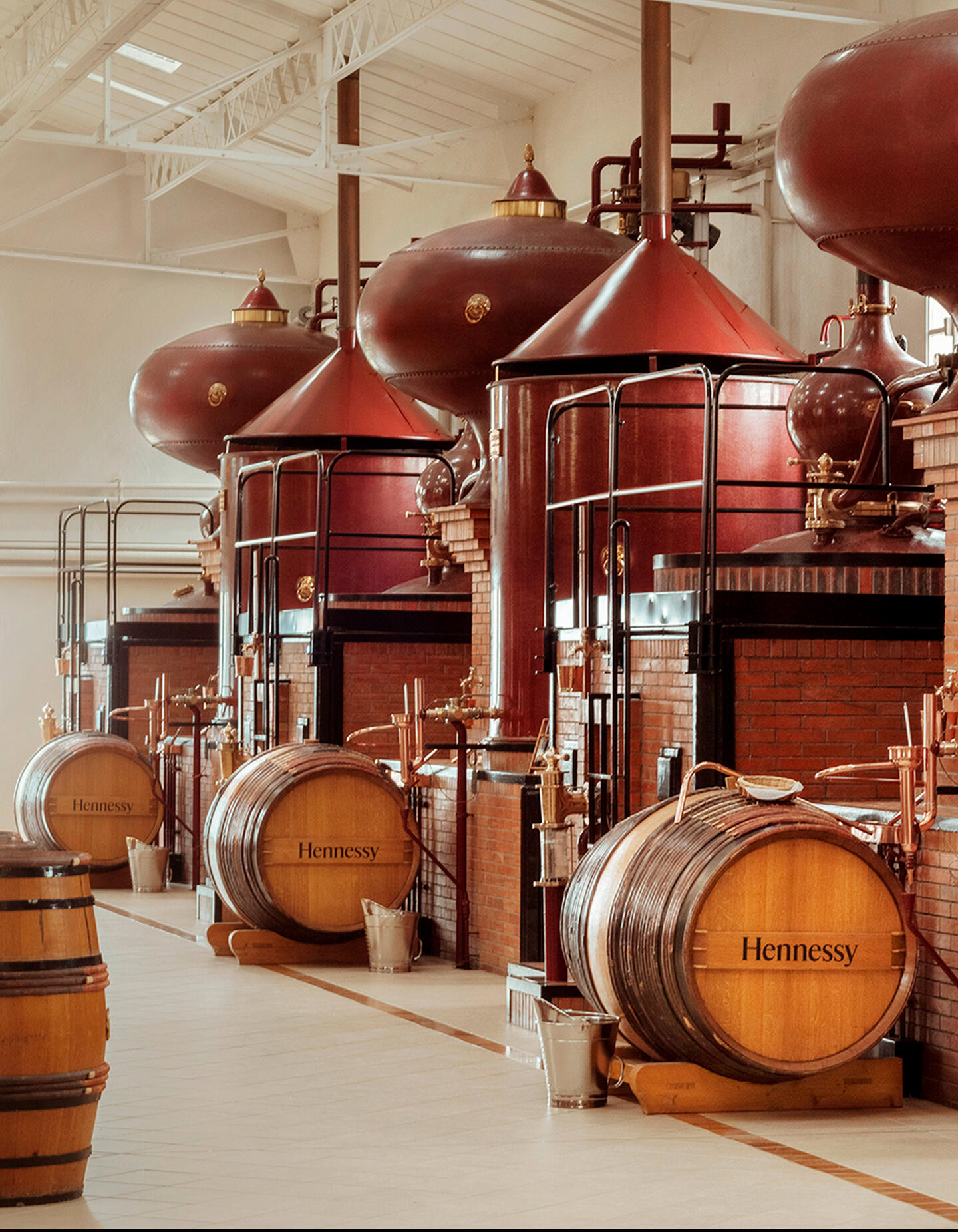 Exclusive Hennessy Cognac Experiences | Hennessy