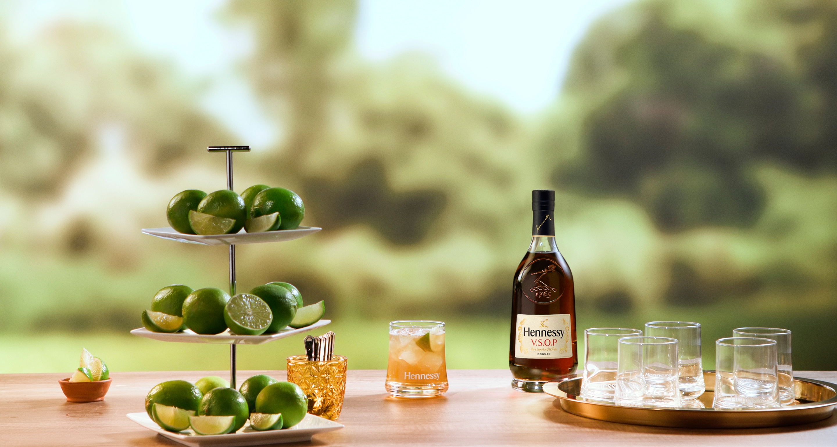 Hennessy Lime and Tonic Water Cocktail Recipe | Hennessy USA