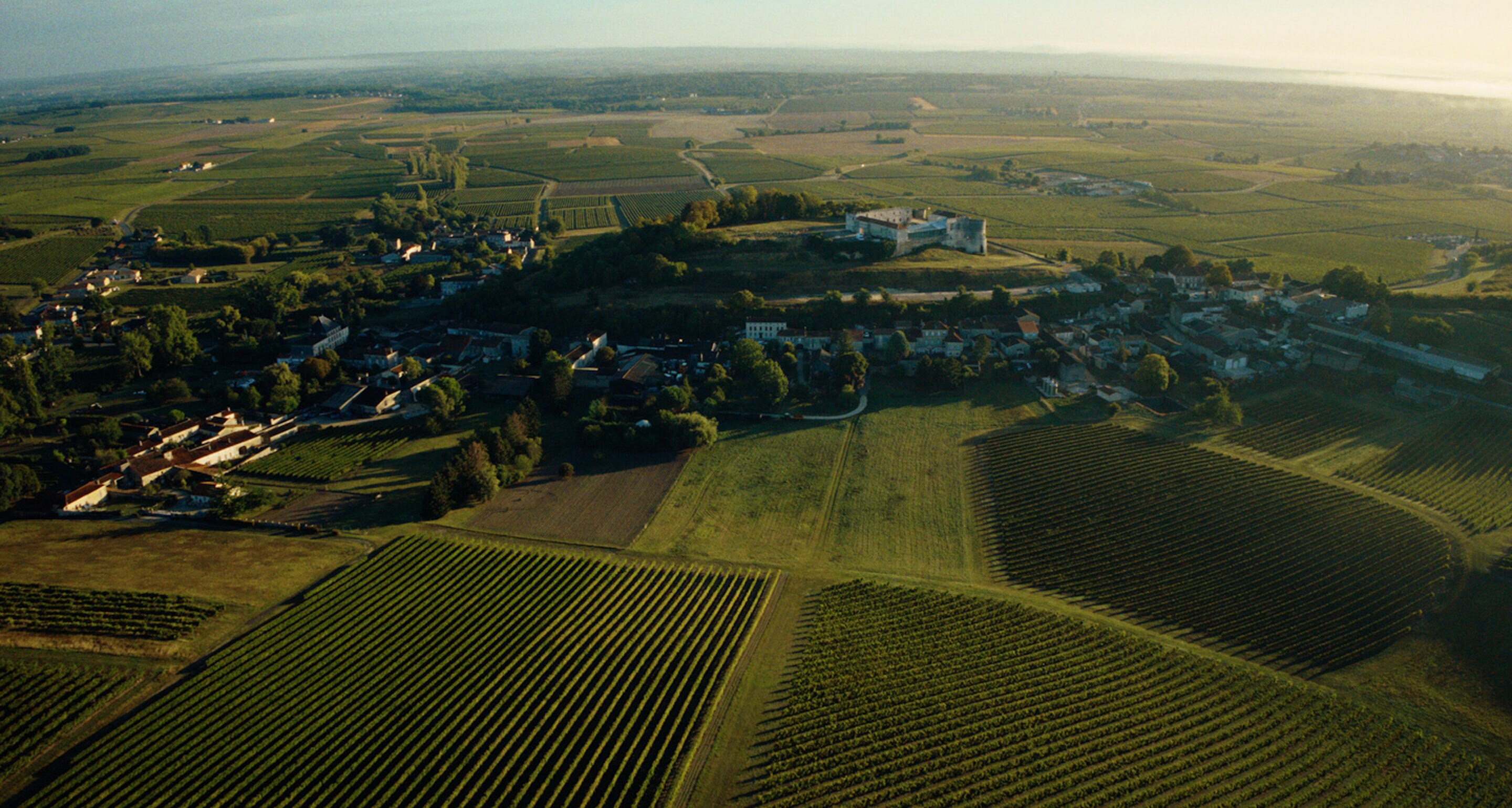 Living Landscapes: Hennessy's vision for the future beyond just our own ...