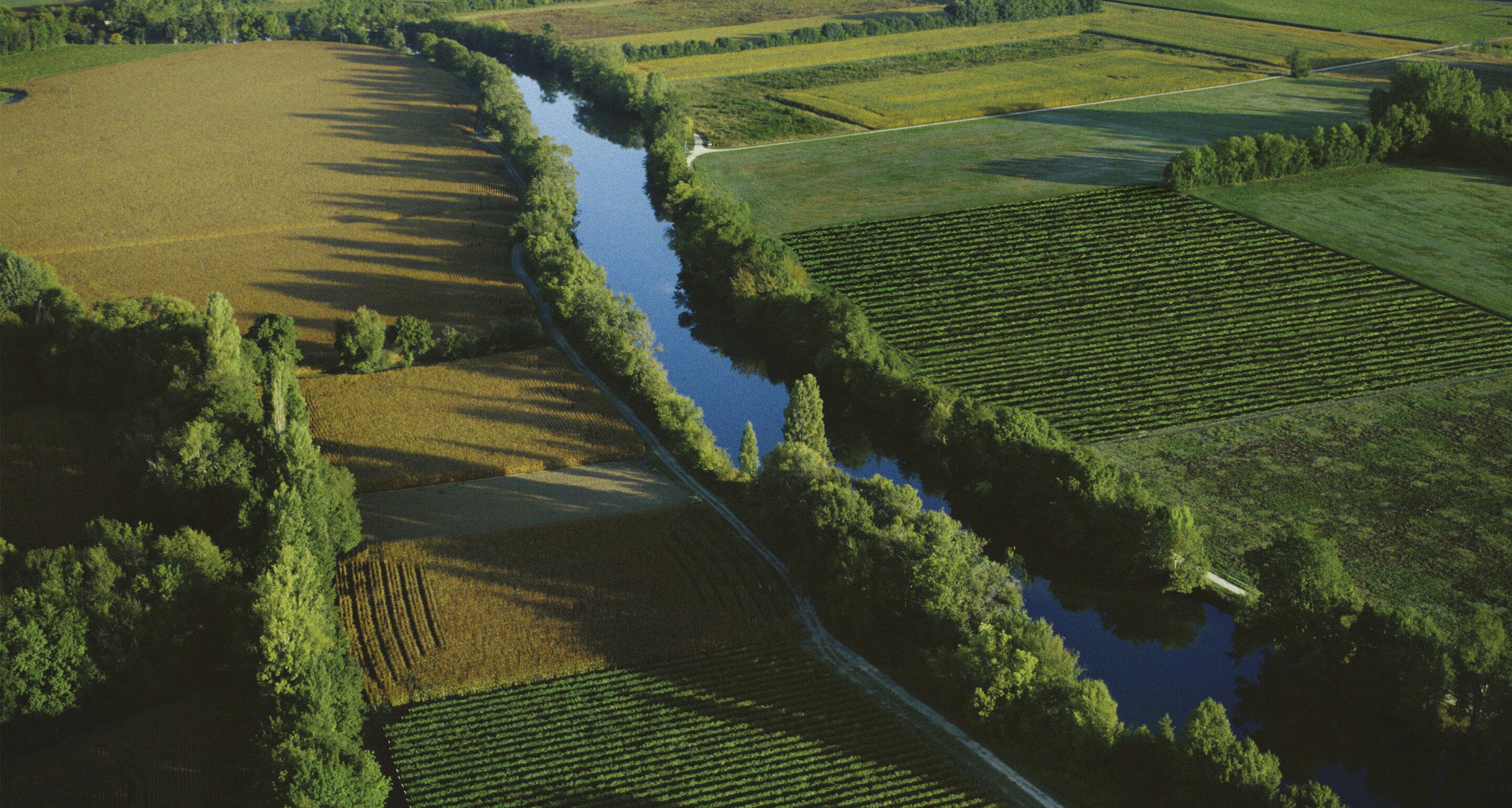 Living Landscapes: Hennessy's vision for the future beyond just our own ...